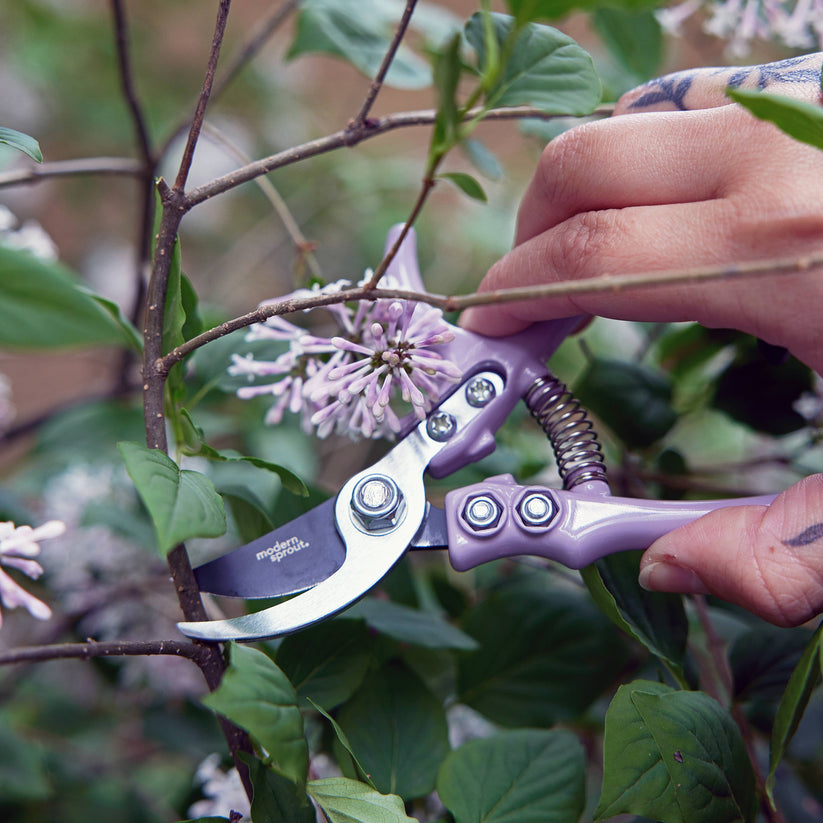Garden Pruners – Cassandra's Kitchen